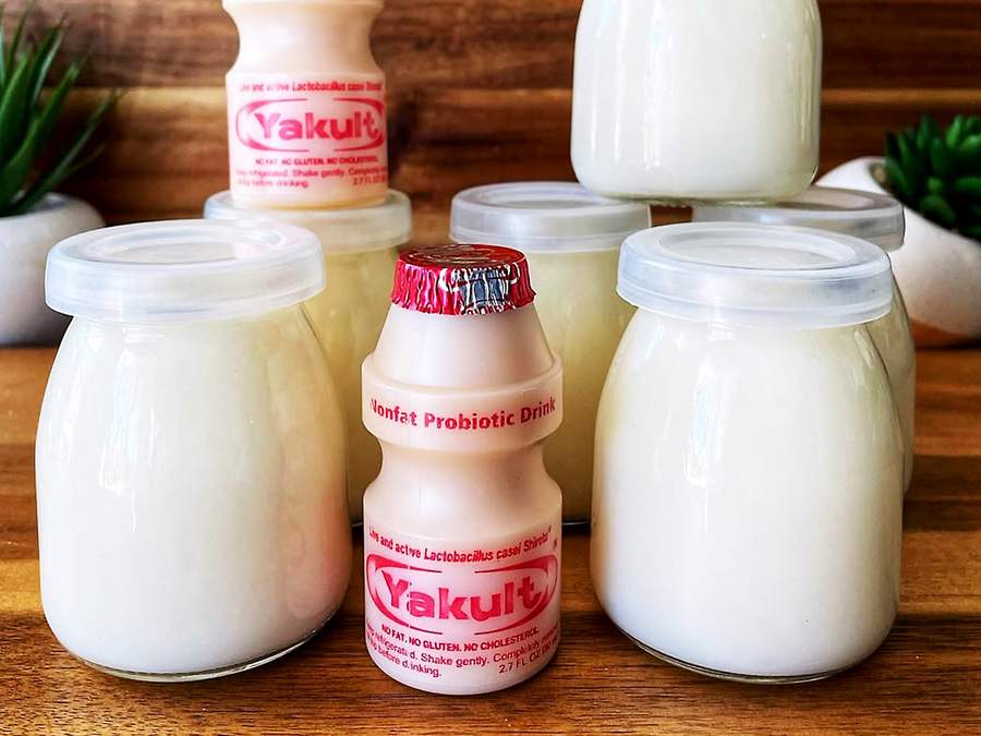 15 Receitas Com Yakult & Modos de Preparar Diferentes Para Degustar ...